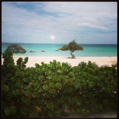 Aruba: una isla Feliz | Patricia Chalbaud